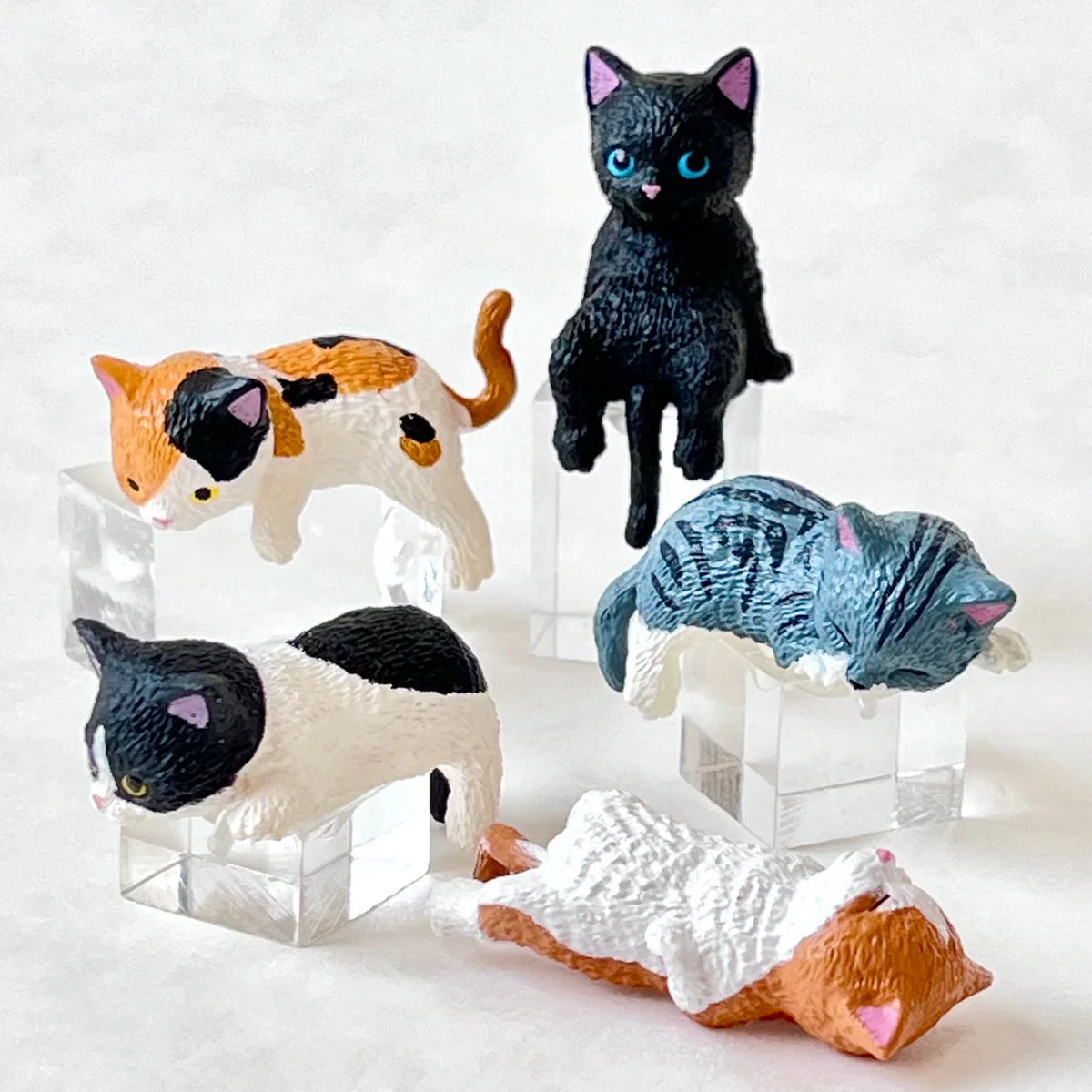 Sleepy Cats Blind Box | Freshie & Zero